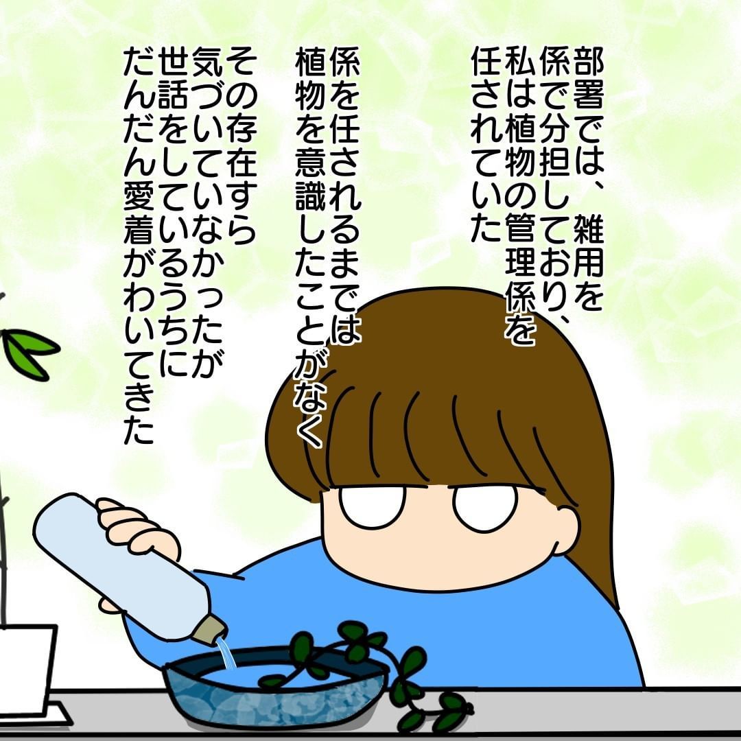 世話をしていた「観葉植物」が社屋移転でまさかの廃棄 意外なオチに「恩を感じているかもしれない」 | TRILL【トリル】