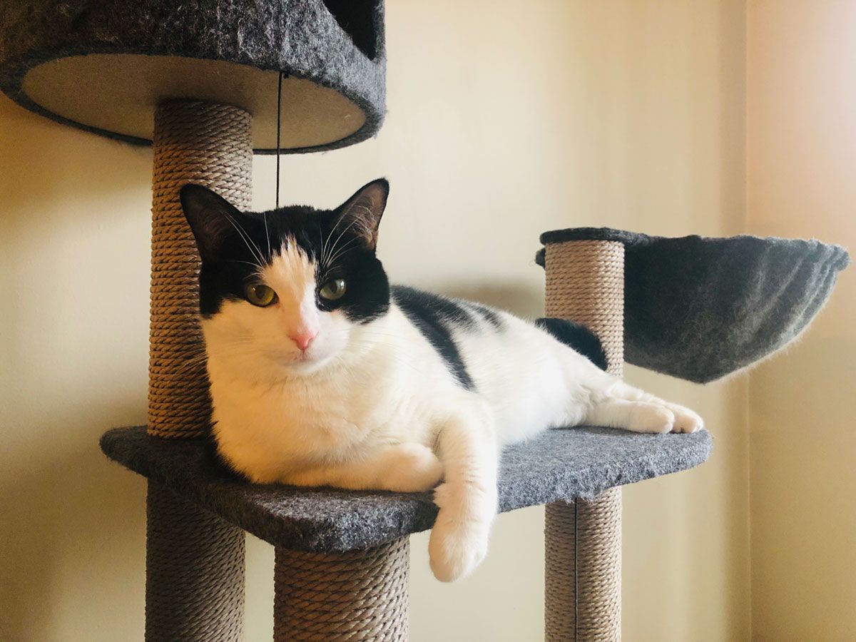 春を待ちわびて。【おちゃめMaruのカナダ生活。 vol.47】 | TRILL【トリル】