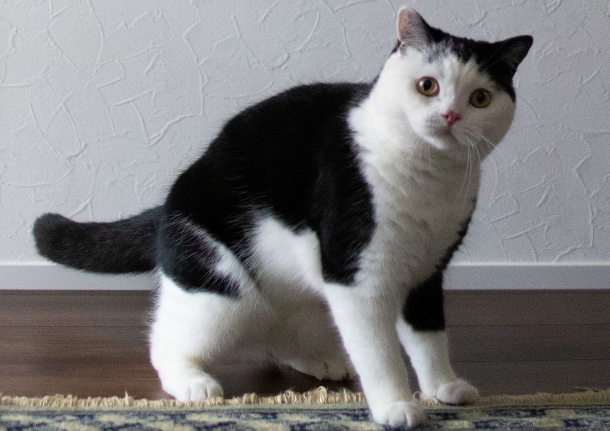 プリティボーイとは俺のことさ。【のりお先生のプリティな毎日。vol.1】 | TRILL【トリル】