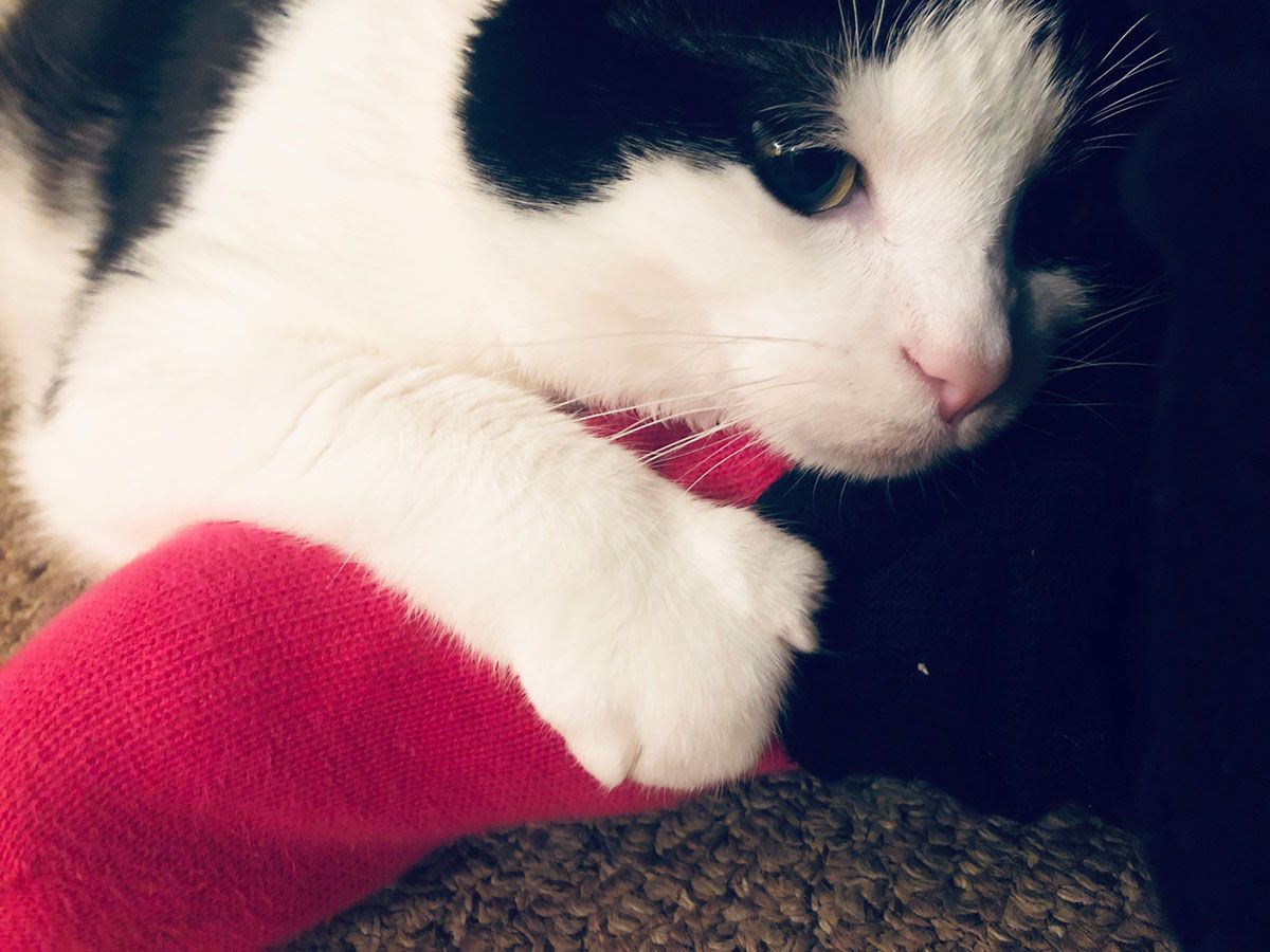 あたち、甘えんぼ上手なの。【おちゃめMaruのカナダ生活。 vol.48】 | TRILL【トリル】