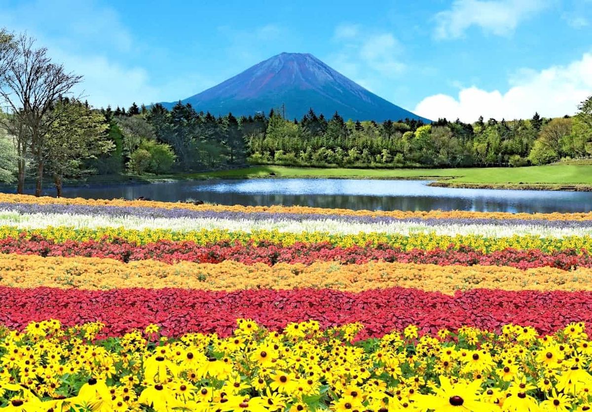 【富士河口湖1周スタンプラリー】ハズレなし！富士急ハイランド・河口湖遊覧船などを回ると商品券が当たる！ | TRILL【トリル】