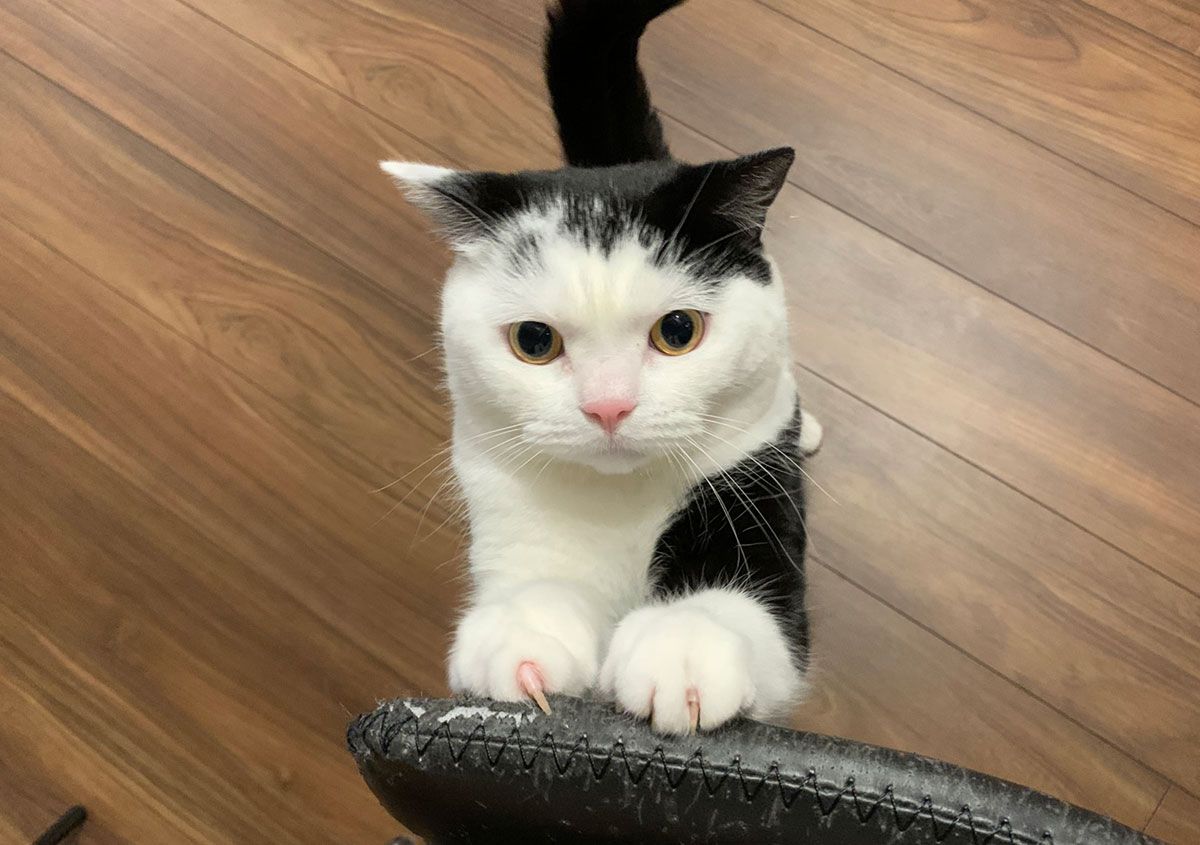 ヴィンテージ加工、承ります。【のりお先生のプリティな毎日。vol.5】 | TRILL【トリル】