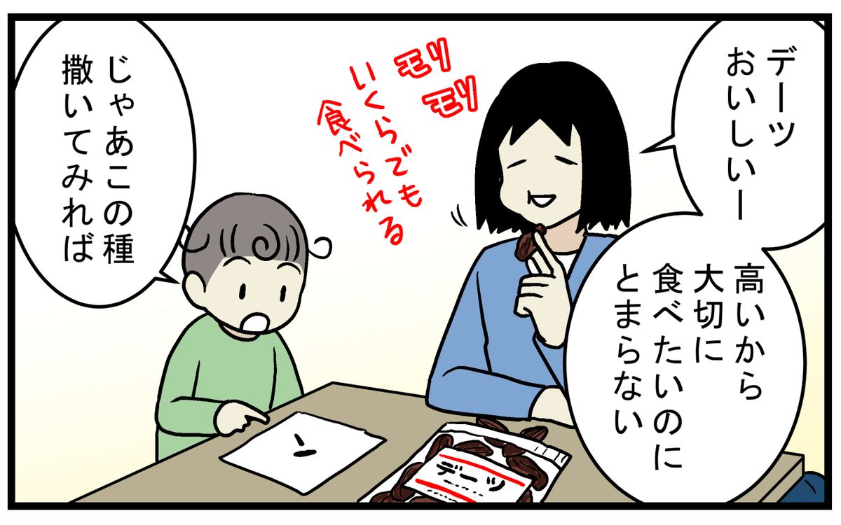 ドライフルーツの「デーツの種」は発芽する？ 調べてみた結果、想像以上の事実が発覚！【こどもと見つけた小さな発見日誌 Vol.70】 | TRILL【トリル】