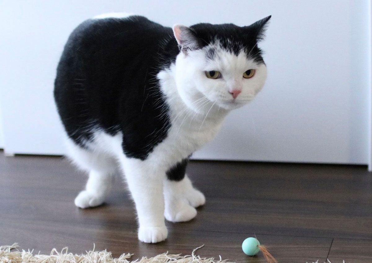 スーパーキャッチを見せるのさ。【のりお先生のプリティな毎日。vol.8】 | TRILL【トリル】