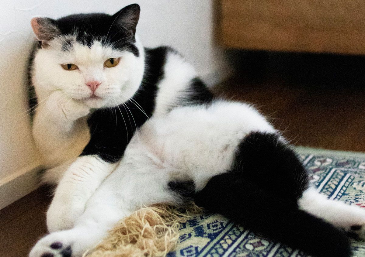 お悩み相談、受付中。【のりお先生のプリティな毎日。vol.10】 | TRILL【トリル】