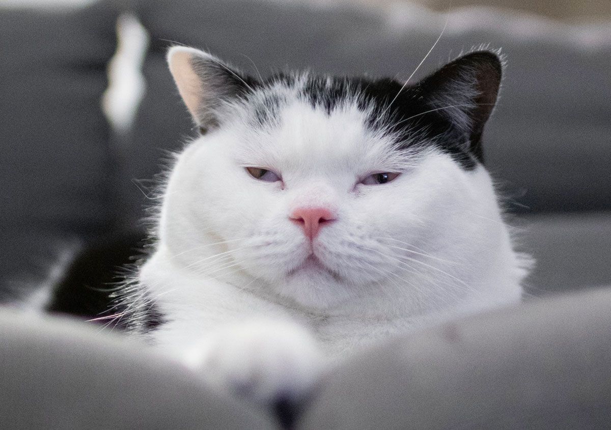 くぼみは俺のものさ。【のりお先生のプリティな毎日。vol.11】 | TRILL【トリル】