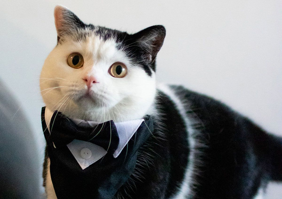 ホワイトデーに赤ちゃん時代の俺を。【のりお先生のプリティな毎日。vol.13】 | TRILL【トリル】