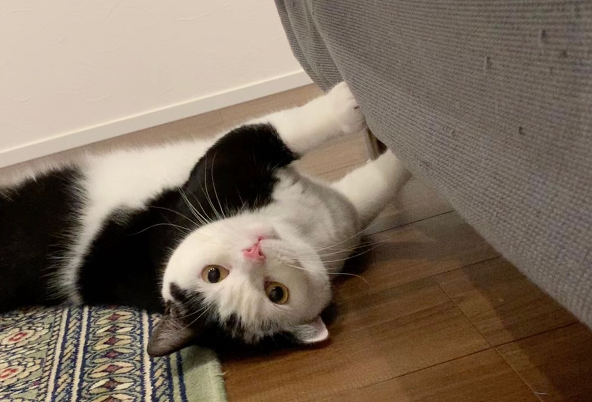 立ち上がるのが面倒なときは。【のりお先生のプリティな毎日。vol.15】 | TRILL【トリル】