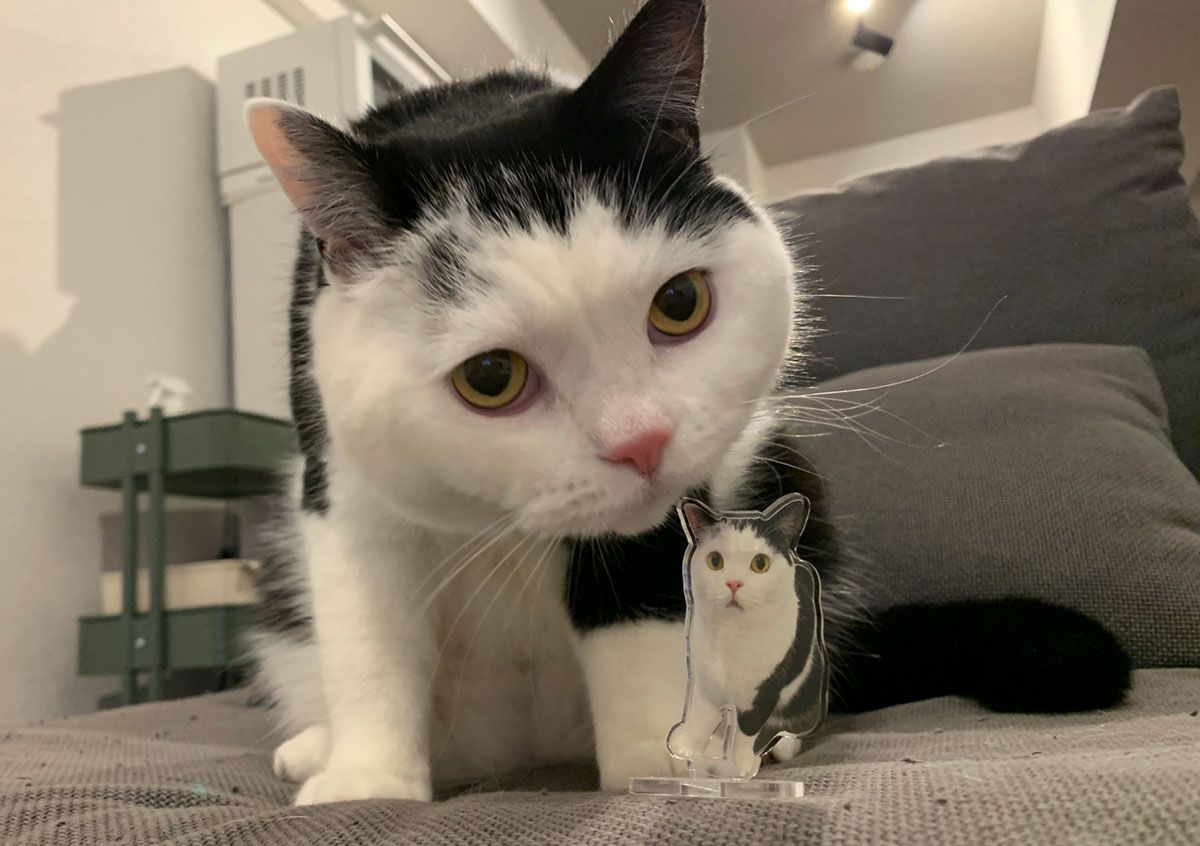 のりおグッズ、いかがですか。【のりお先生のプリティな毎日。vol.17】 | TRILL【トリル】