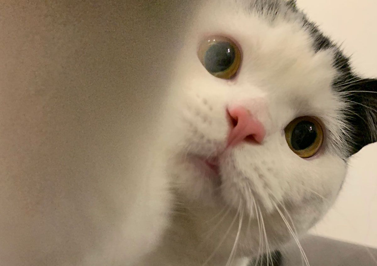 自撮りの練習中なのさ。【のりお先生のプリティな毎日。vol.18】 | TRILL【トリル】