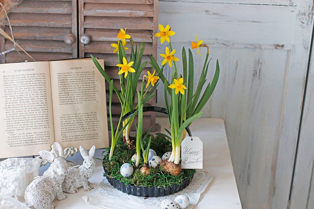 100均活用で、球根ごと楽しむイースターのアレンジを プチプラ花コーデVol.133 | TRILL【トリル】