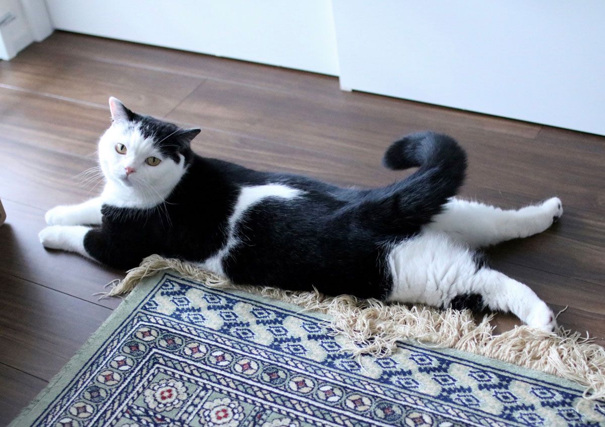 丸まるより伸びる派なのさ。【のりお先生のプリティな毎日。vol.19】 | TRILL【トリル】