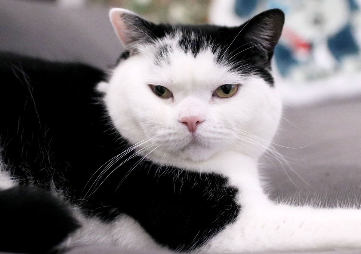 シワを寄せてもいい男。【のりお先生のプリティな毎日。vol.20】 | TRILL【トリル】