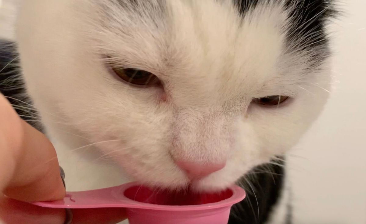 好きなおやつに夢中な俺。【のりお先生のプリティな毎日。vol.22】 | TRILL【トリル】