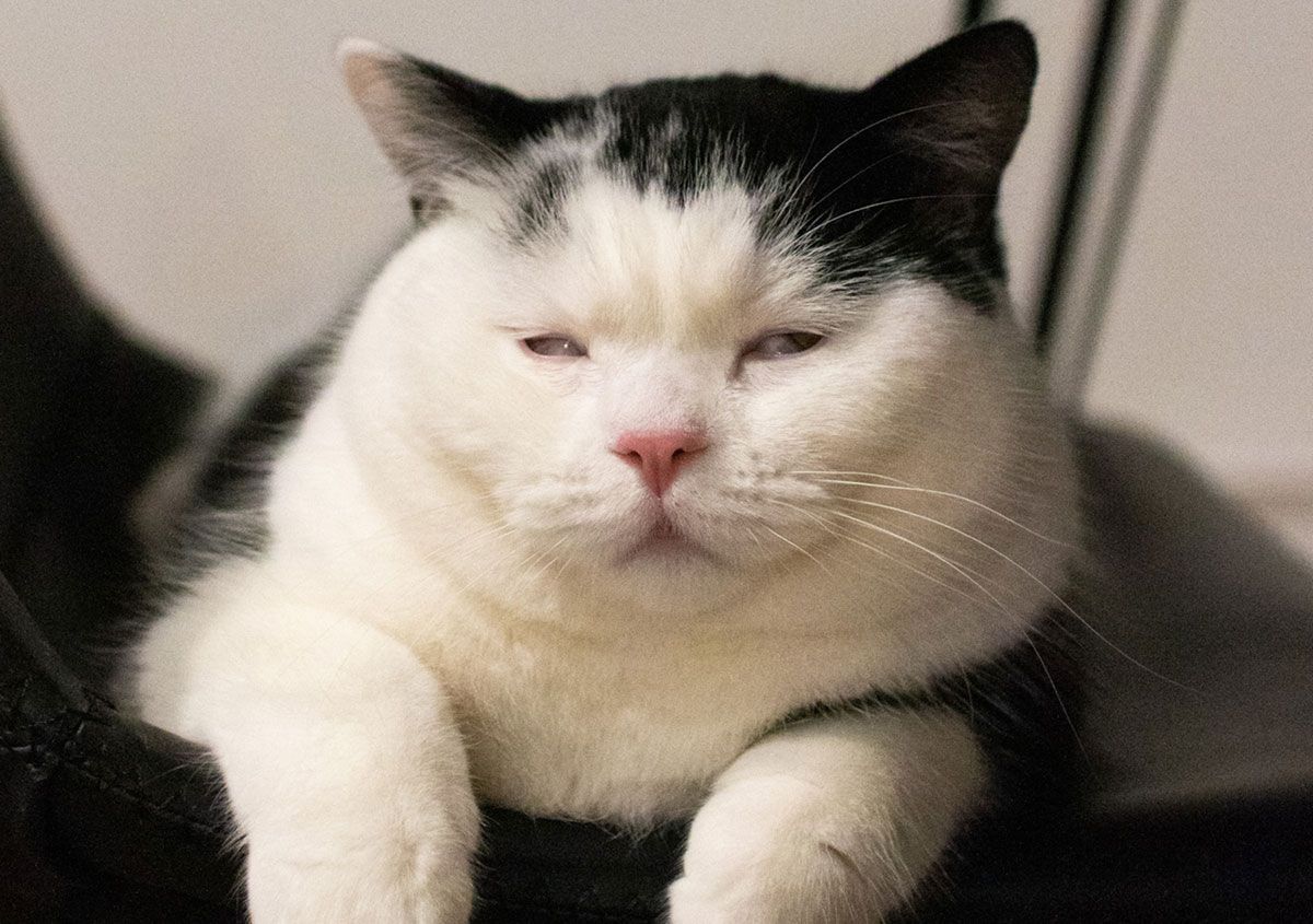 なぜか白目になっちゃうのさ。【のりお先生のプリティな毎日。vol.25】 | TRILL【トリル】