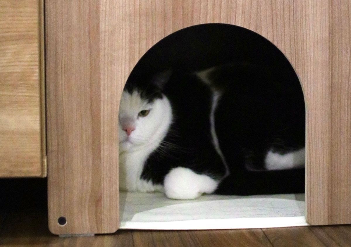 消灯時間は12時なのさ。【のりお先生のプリティな毎日。vol.28】 | TRILL【トリル】