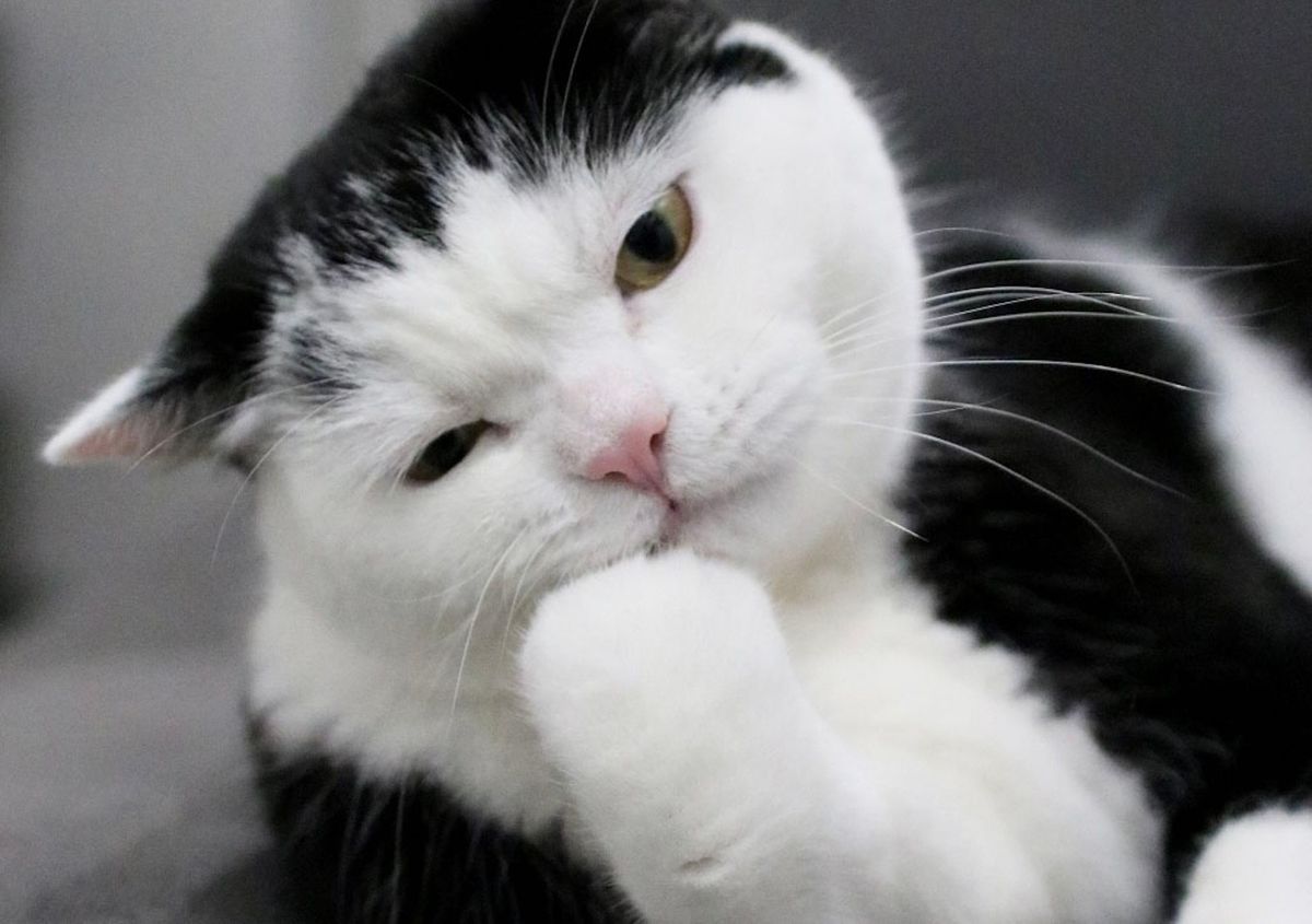 聞き上手な俺。【のりお先生のプリティな毎日。vol.30】 | TRILL【トリル】