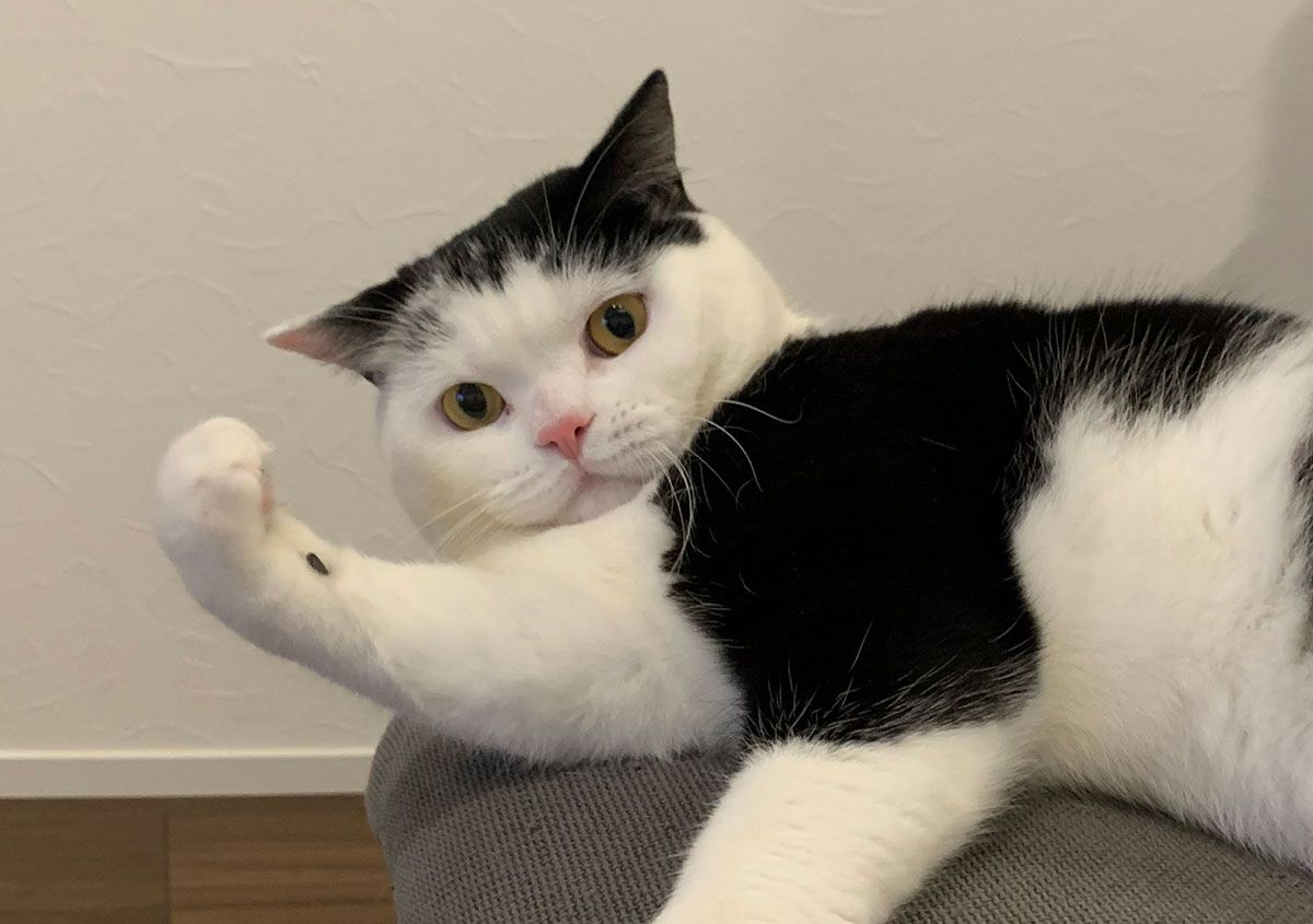 (最終回) 俺はみんなの味方なのさ。【のりお先生のプリティな毎日。vol.31】 | TRILL【トリル】