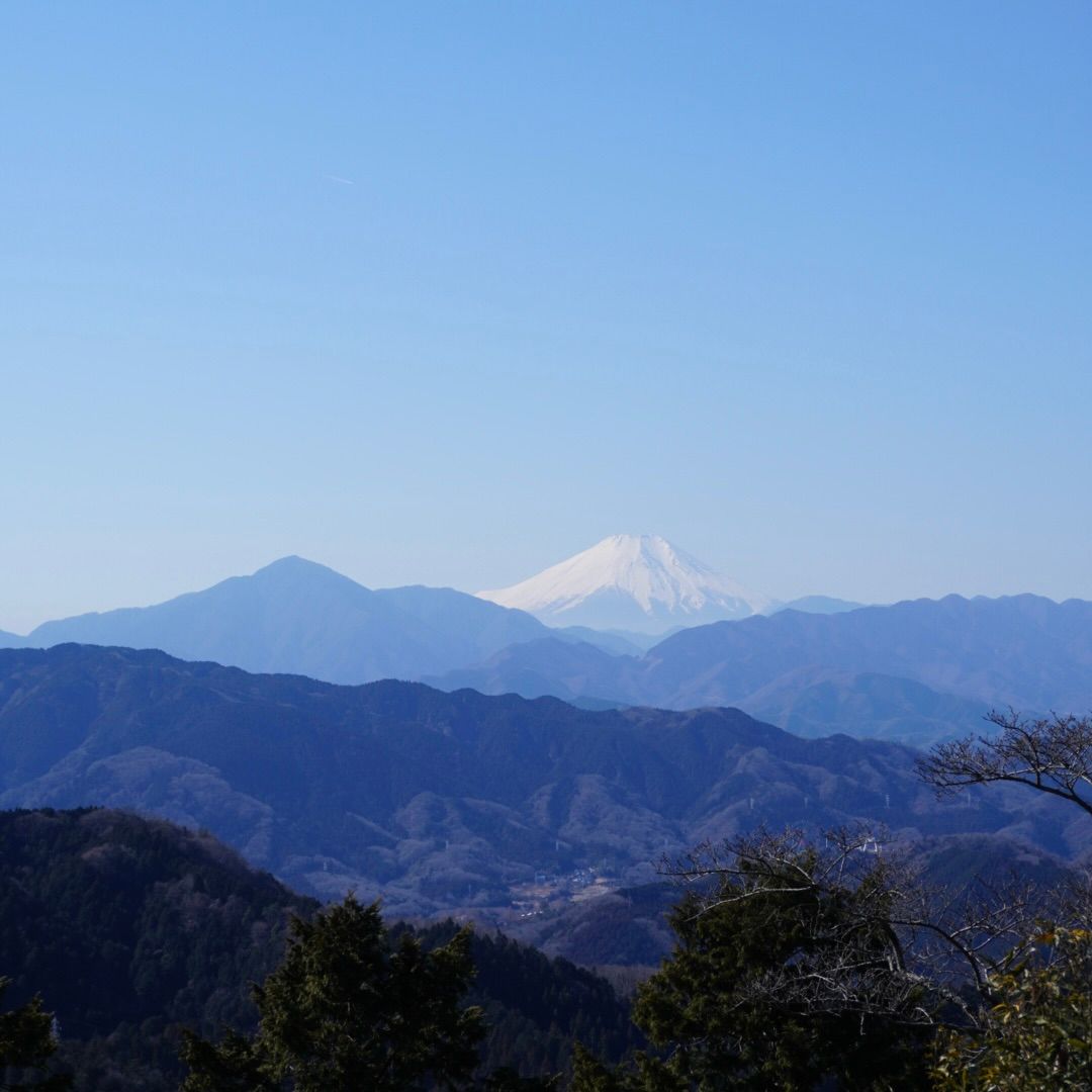 ビビりな都会っ子、はじめてのひとり登山。｜まろが行く、ひとりホテルのすゝめVol.15【番外編】 | TRILL【トリル】