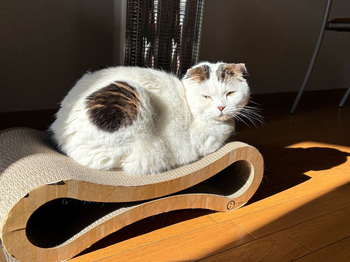 ひなたぼっこしない？【いなほ、オレ物語。vol.174】 | TRILL【トリル】