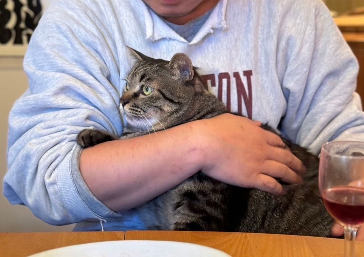 ラブラブタイムやで。【ぽっちゃり猫、れみのピースフル記。vol.32】 | TRILL【トリル】