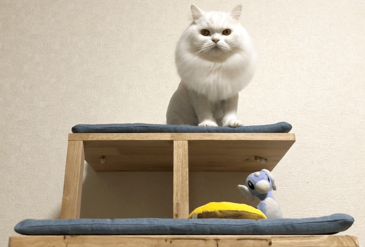 おもちゃキャッチ！【はくべい、んべんべダイアリー。 vol.13】 | TRILL【トリル】