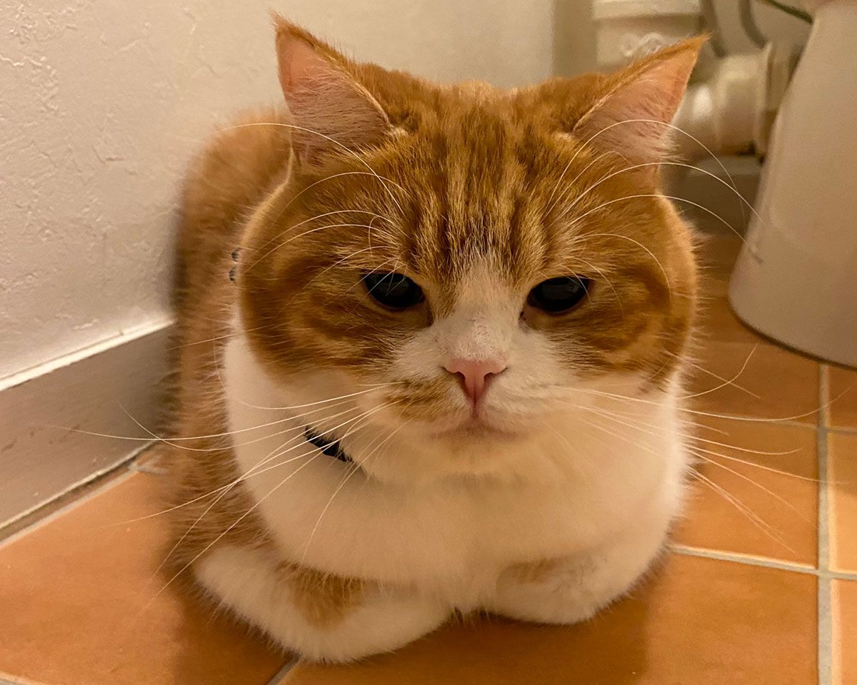 意外なお気に入りスポット。【とろろ、もふもふDays。vol.72】 | TRILL【トリル】