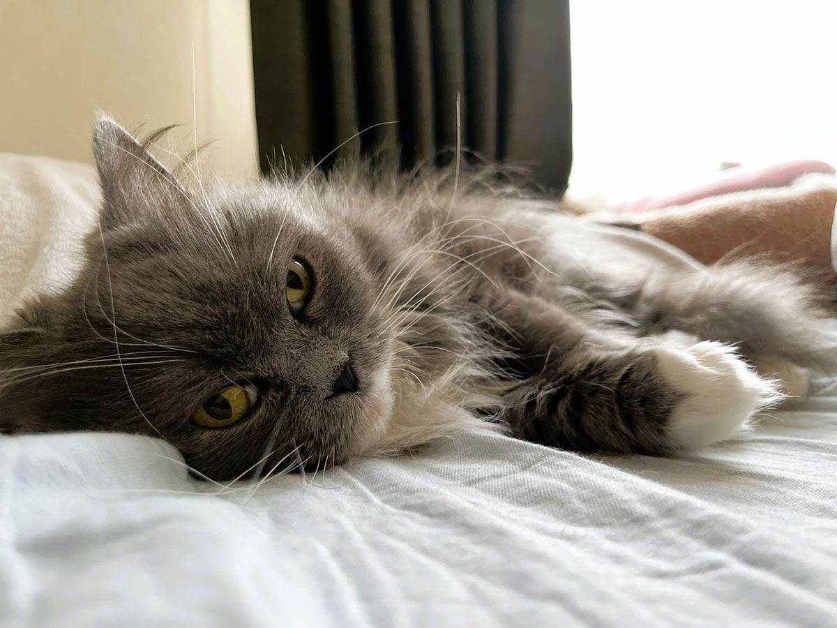 ぼくのお母さん、いなほだよ。【はくべい、んべんべダイアリー。 vol.18】 | TRILL【トリル】