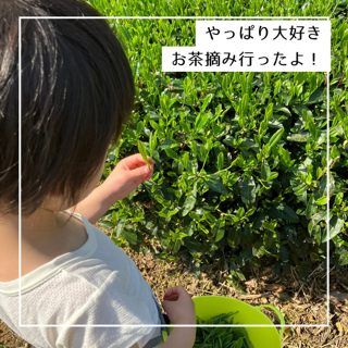 【静岡県】GWの予定決まった？この時期しか体験できない親子体験はいかが？ | TRILL【トリル】