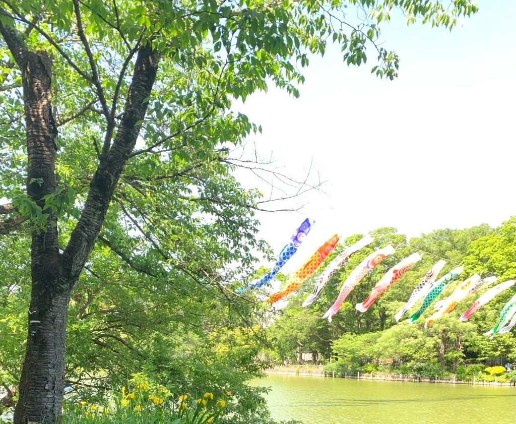 5/8まで限定で善福寺公園にこいのぼり！GWのお出かけやこどもの日フォト撮影におすすめ！ | TRILL【トリル】
