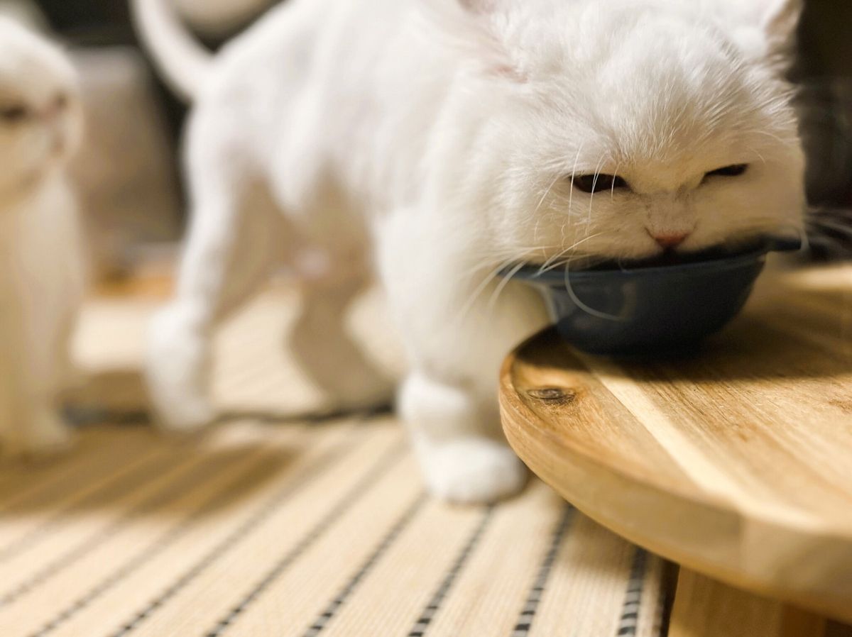 大好きな、チキンのスープ！【はくべい、んべんべダイアリー。 vol.23】 | TRILL【トリル】