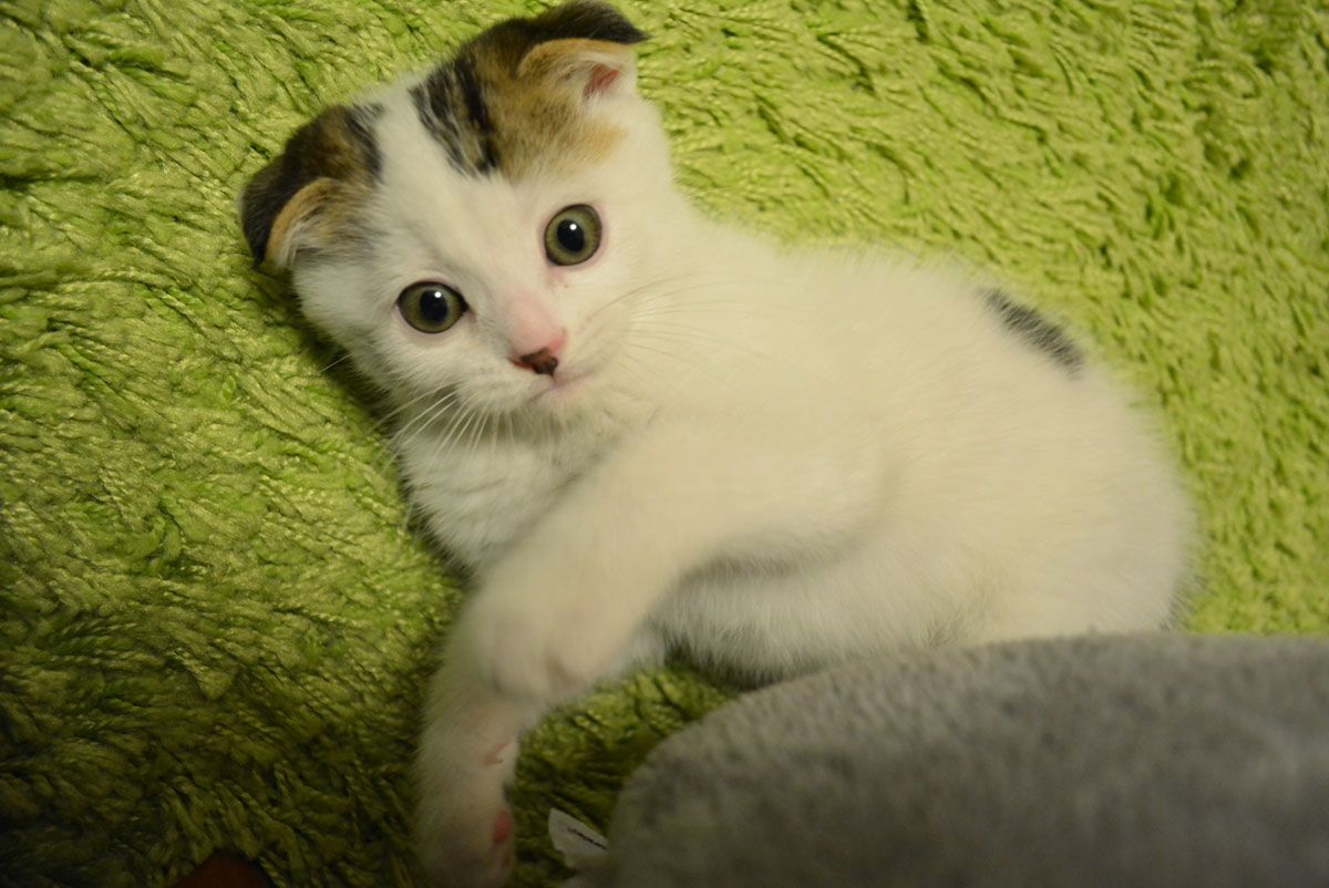 ベビー期のオレもかわいいんやで。【いなほ、オレ物語。vol.176】 | TRILL【トリル】