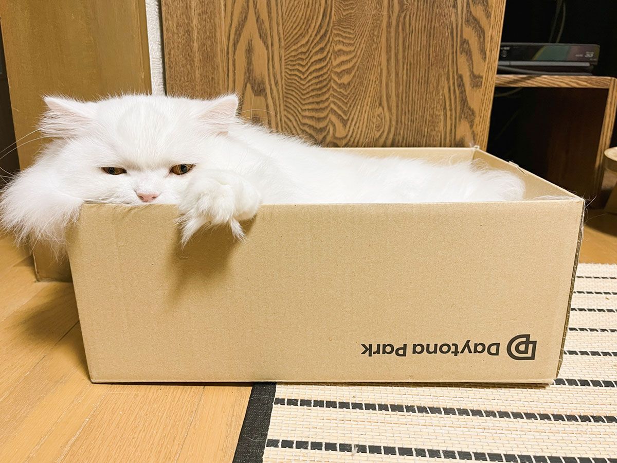 箱から失礼します。【はくべい、んべんべダイアリー。 vol.24】 | TRILL【トリル】