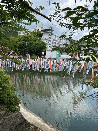 【佐賀】こいのぼりが300本も！！川上峡春まつり（こいのぼりの吹流し） | TRILL【トリル】