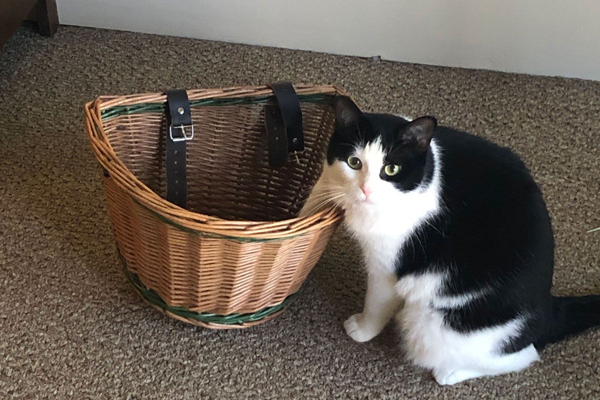 カゴの中身は何かしら？【おちゃめMaruのカナダ生活。 vol.56】 | TRILL【トリル】