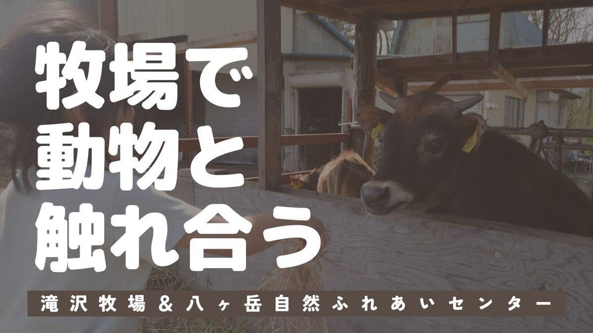 自然を体感！滝沢牧場と八ヶ岳自然ふれあいセンターで親子で楽しめるGW | TRILL【トリル】