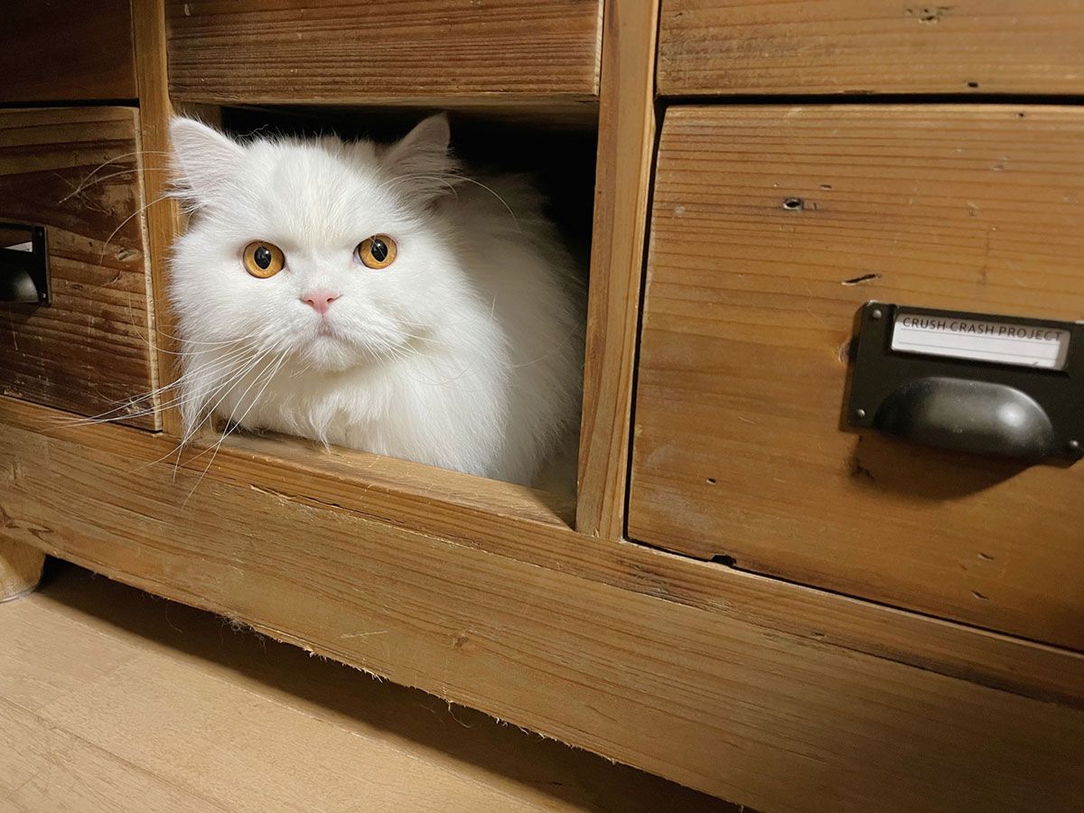 (最終回) 引き出しから、こんにちは。【はくべい、んべんべダイアリー。 vol.30】 | TRILL【トリル】