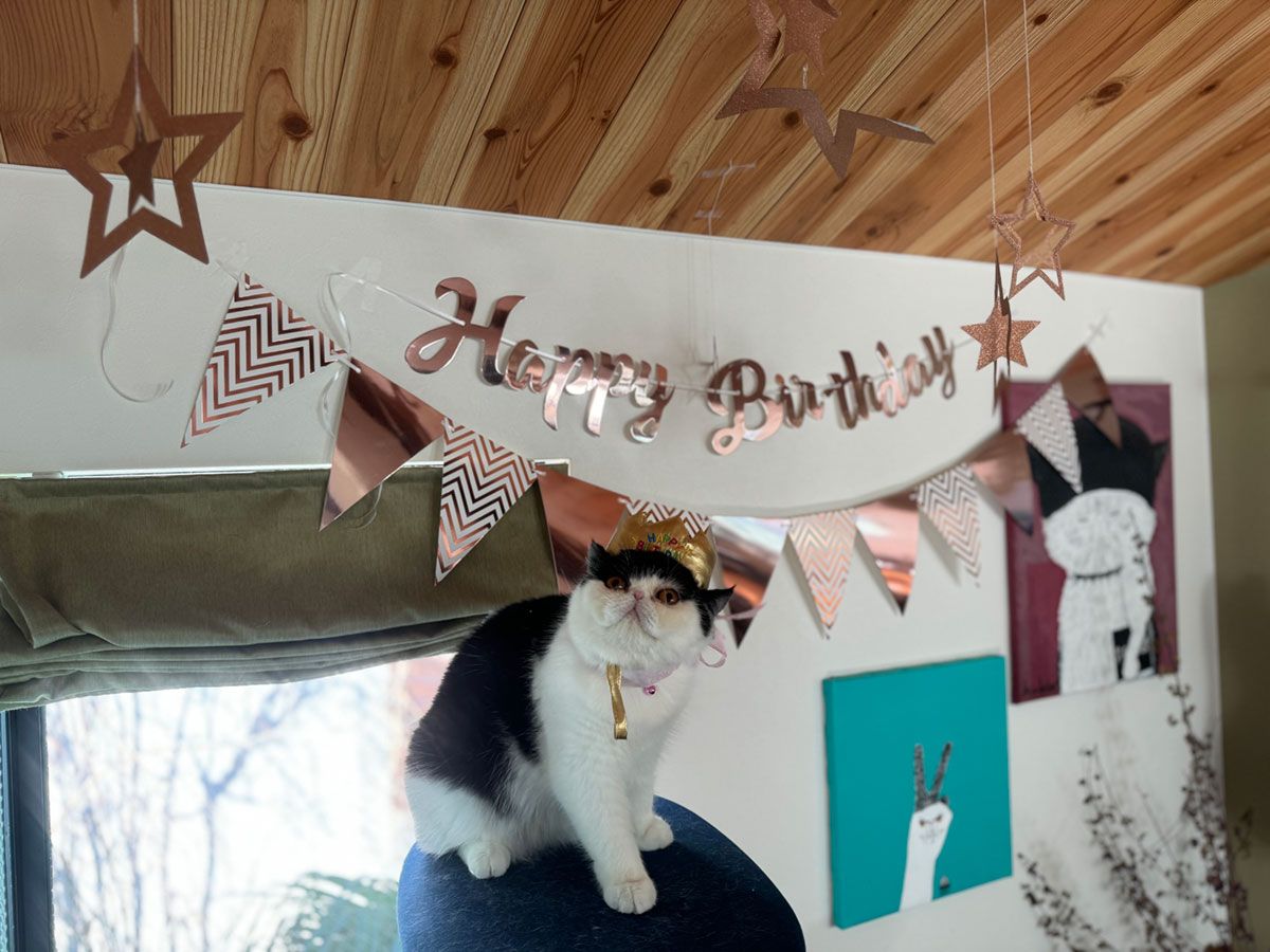 ちろり、1歳のお誕生日。【おちょこ、ぽのぽのだより。vol.152】 | TRILL【トリル】