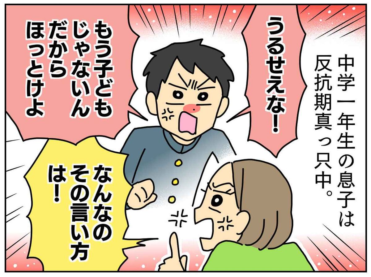 中1息子の【反抗期に悩む母】親子喧嘩のあと → 『思わずクスッとした』息子の一言とは──！？ | TRILL【トリル】