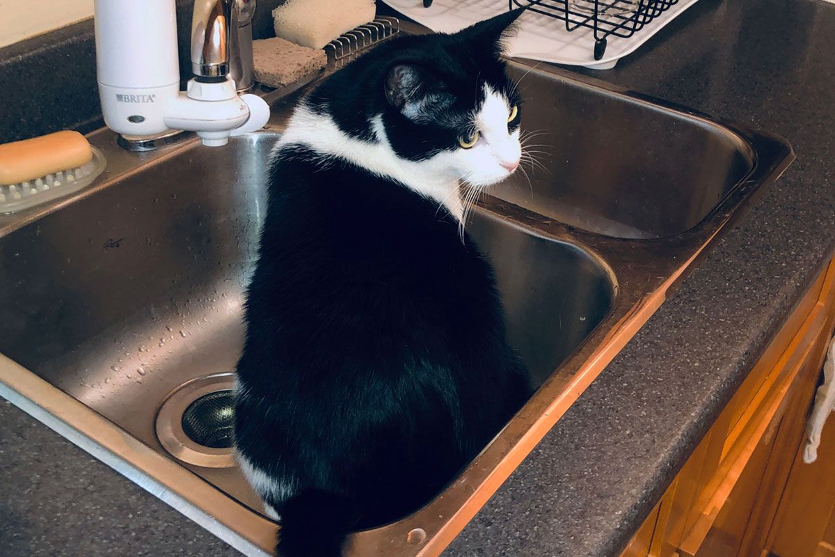 水遊びがしたいのよ〜。【おちゃめMaruのカナダ生活。 vol.57】 | TRILL【トリル】