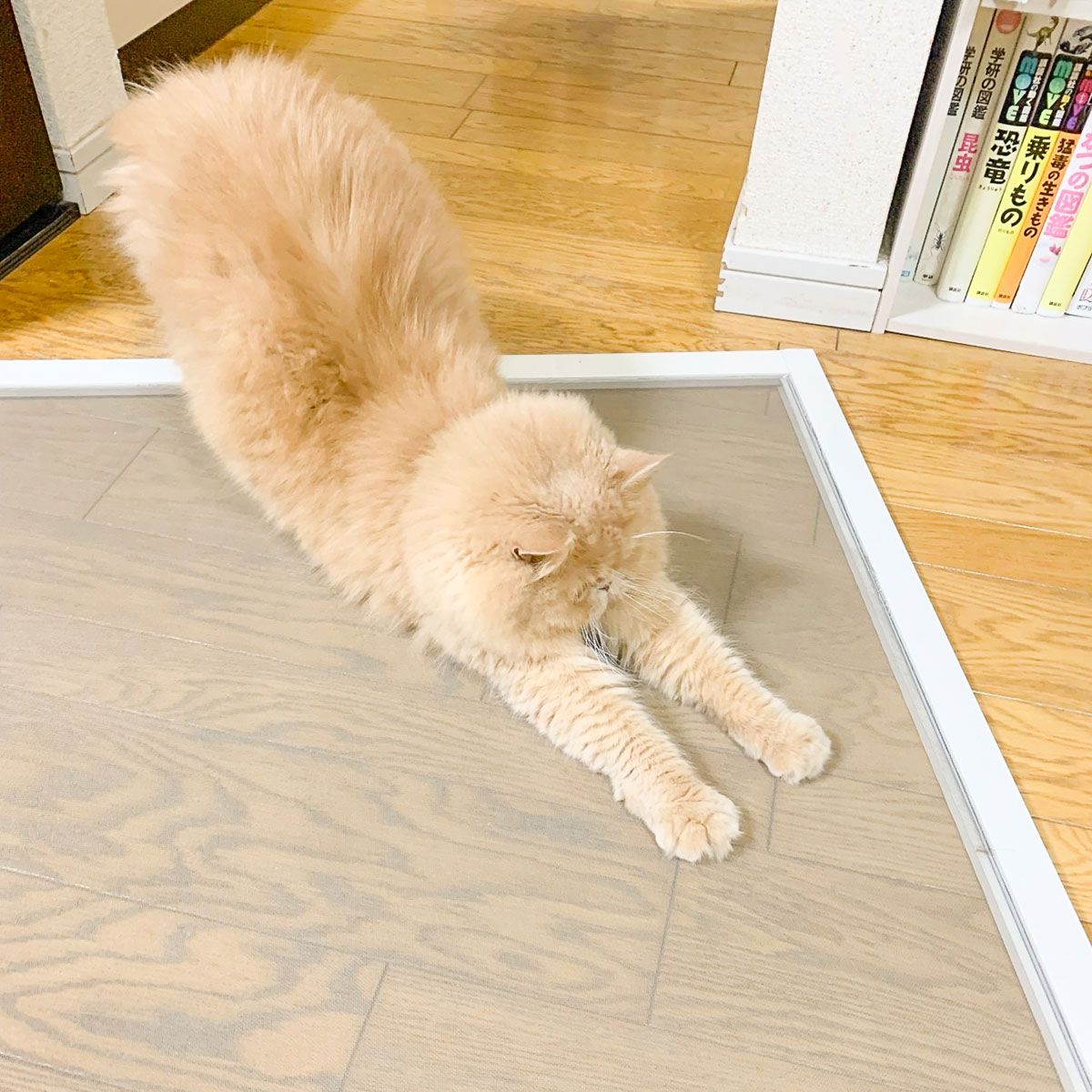 おかあさんのお手伝い。【寝ぼすけヨーダ、ぽかぽかの毎日。 vol.7】 | TRILL【トリル】