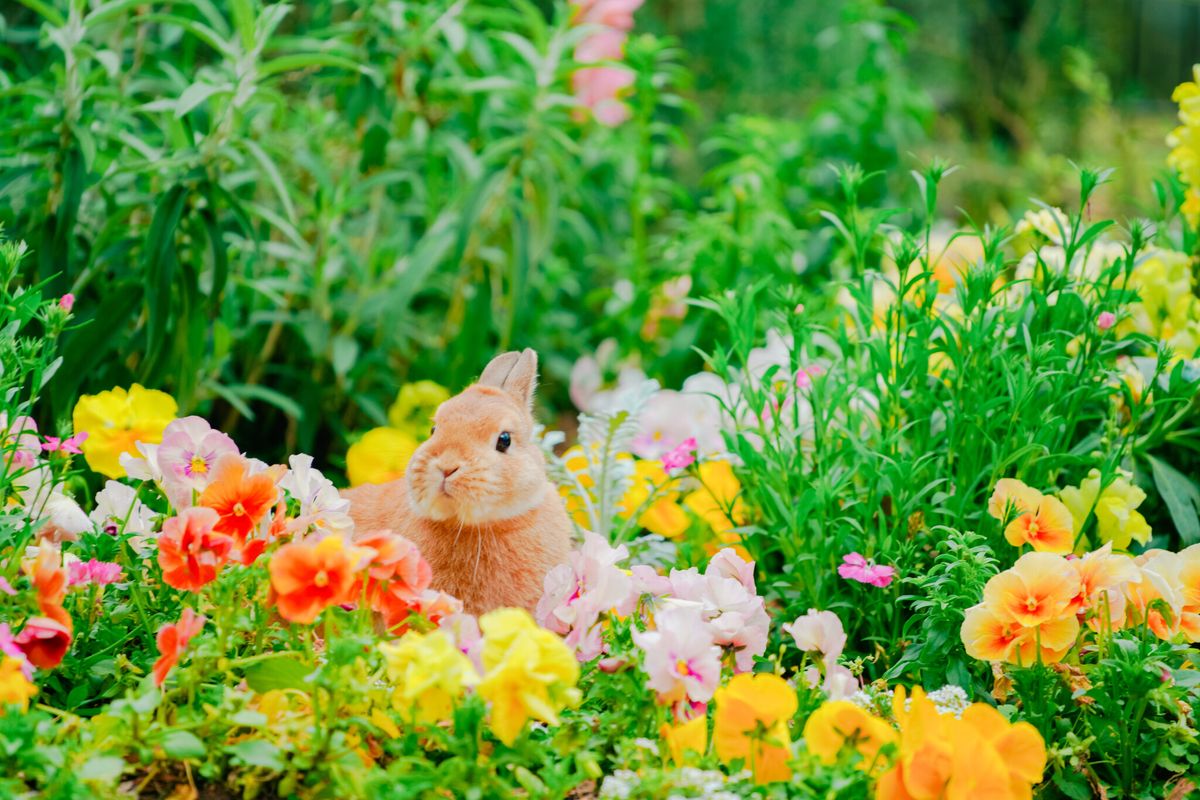 【5/9～5/15の運勢】12星座別「大幸運が舞い込みそう」なのは？【今週のお疲れさま占い】 | TRILL【トリル】