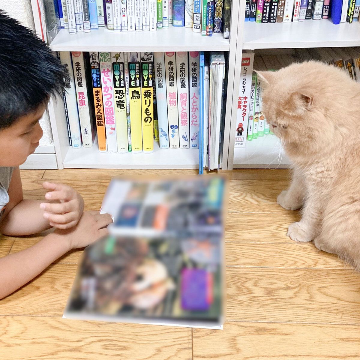 今日はお兄ちゃんと遊ぶよ〜。【寝ぼすけヨーダ、ぽかぽかの毎日。 vol.12】 | TRILL【トリル】