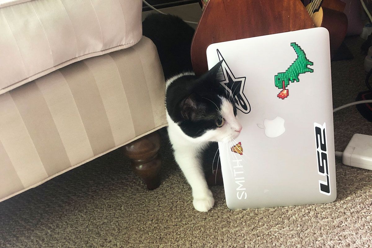 自宅警備中なのよ！【おちゃめMaruのカナダ生活。 vol.58】 | TRILL【トリル】