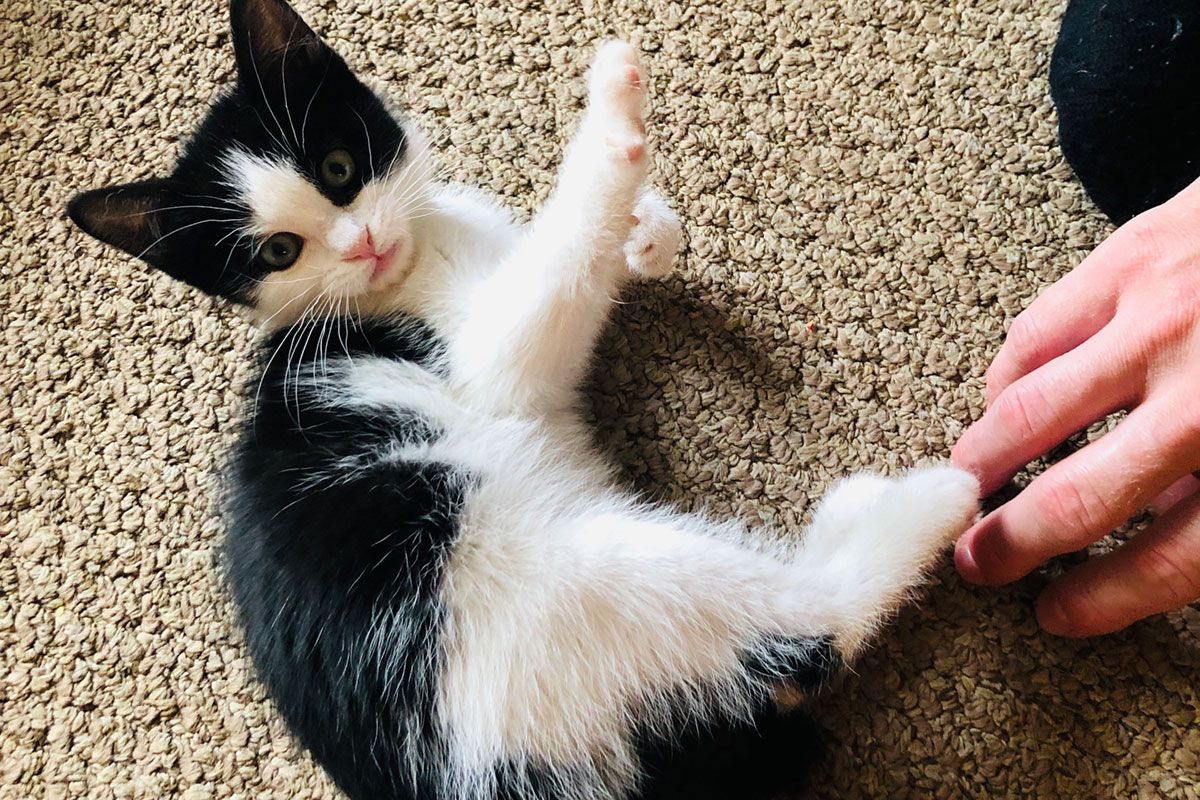 あたちのスウィートメモリー。【おちゃめMaruのカナダ生活。 vol.59】 | TRILL【トリル】