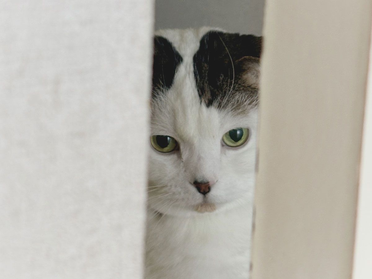 ひらけドア！【いなほ、オレ物語。vol.180】 | TRILL【トリル】