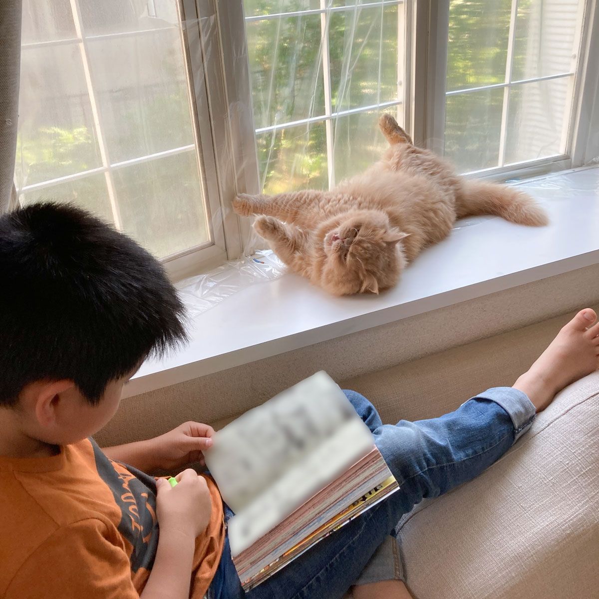 構ってくれないなら、寝ちゃうからね！【寝ぼすけヨーダ、ぽかぽかの毎日。 vol.25】 | TRILL【トリル】