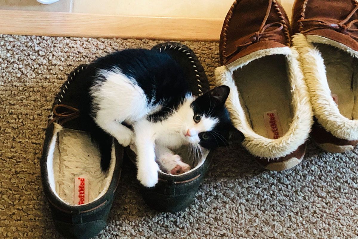 ベビー期のお気に入り。【おちゃめMaruのカナダ生活。 vol.60】 | TRILL【トリル】