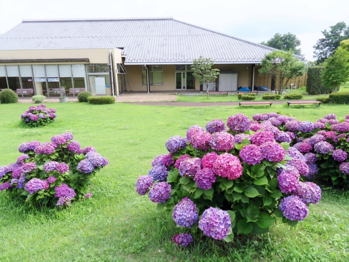【群馬「道の駅 赤城の恵」】上毛三山の観光拠点におすすめ！お土産も温泉も楽しめる道の駅 | TRILL【トリル】