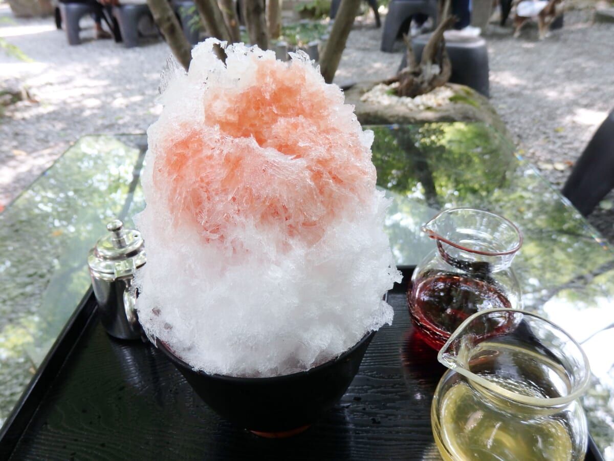 夏に行きたい！埼玉県長瀞の有名店「阿左美冷蔵」の新感覚ふわふわ天然かき氷を実食ルポ | TRILL【トリル】